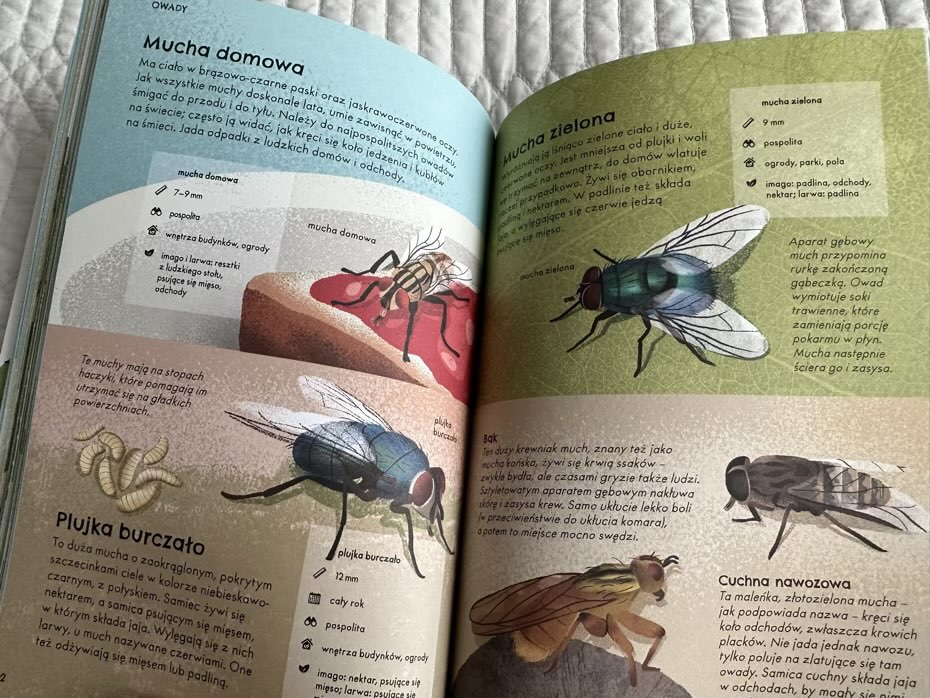 Robale. Owady i inne małe stworzenia. Zobacz i rozpoznaj – Mole Książkowe