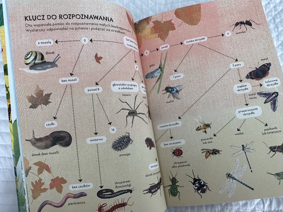 Robale. Owady i inne małe stworzenia. Zobacz i rozpoznaj – Mole Książkowe